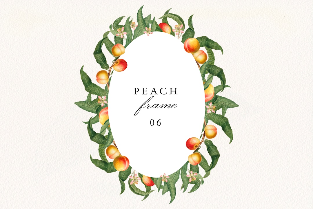 Peach Frame #06 PNG, Vintage Peach Fruit and Greenery Wreath, Botanical ...
