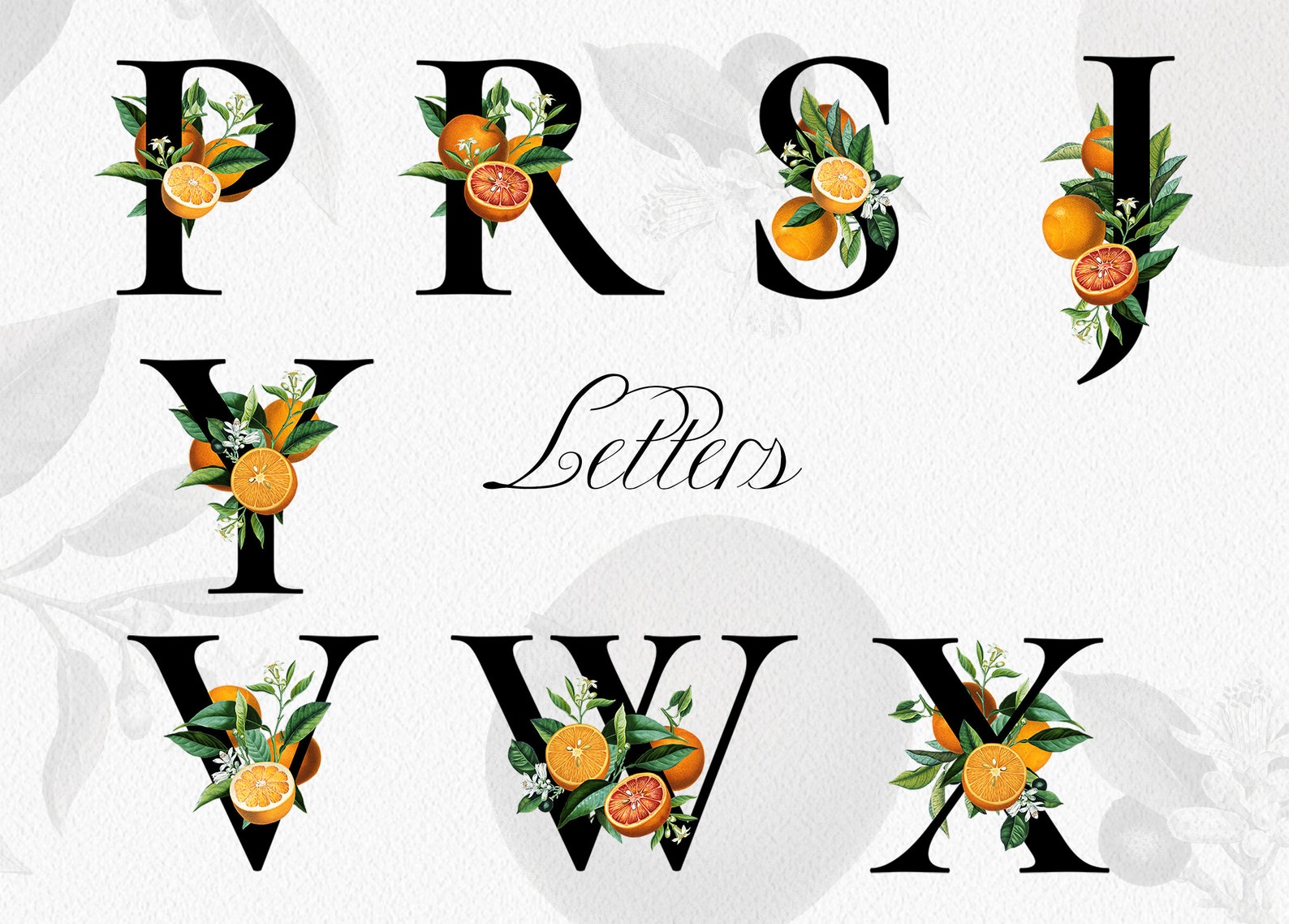 Orange Citrus Monogram Font Floral Monogram Alphabet Clipart | Etsy