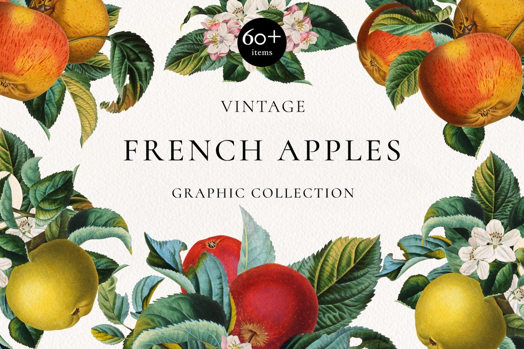 Vintage Apple Clip Art Apple Fruits Leaves Blossom Arrangements ...