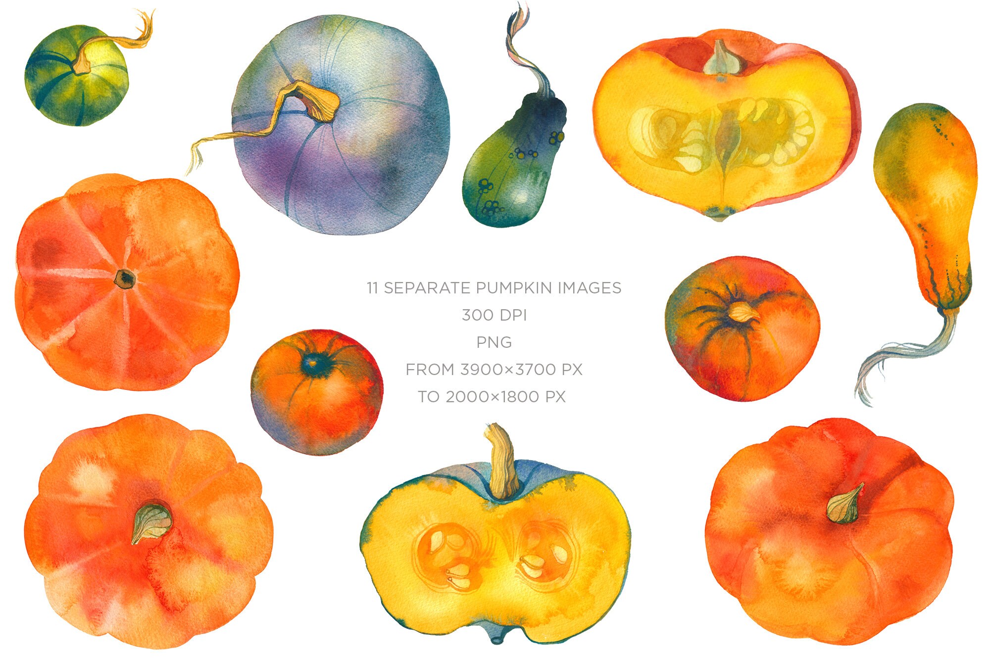 Watercolor Clipart Bundle Hand Painted Fruits Berries and - Etsy