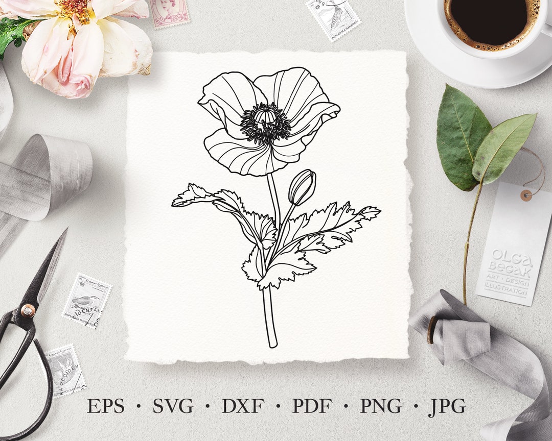 Poppy Flower SVG, Poppy Outline Vector Illustration PNG, Poppy Floral ...