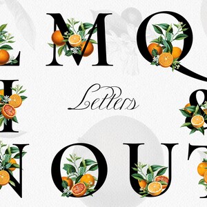 Orange Citrus Monogram Font, Floral Monogram Alphabet Clipart, Orange ...