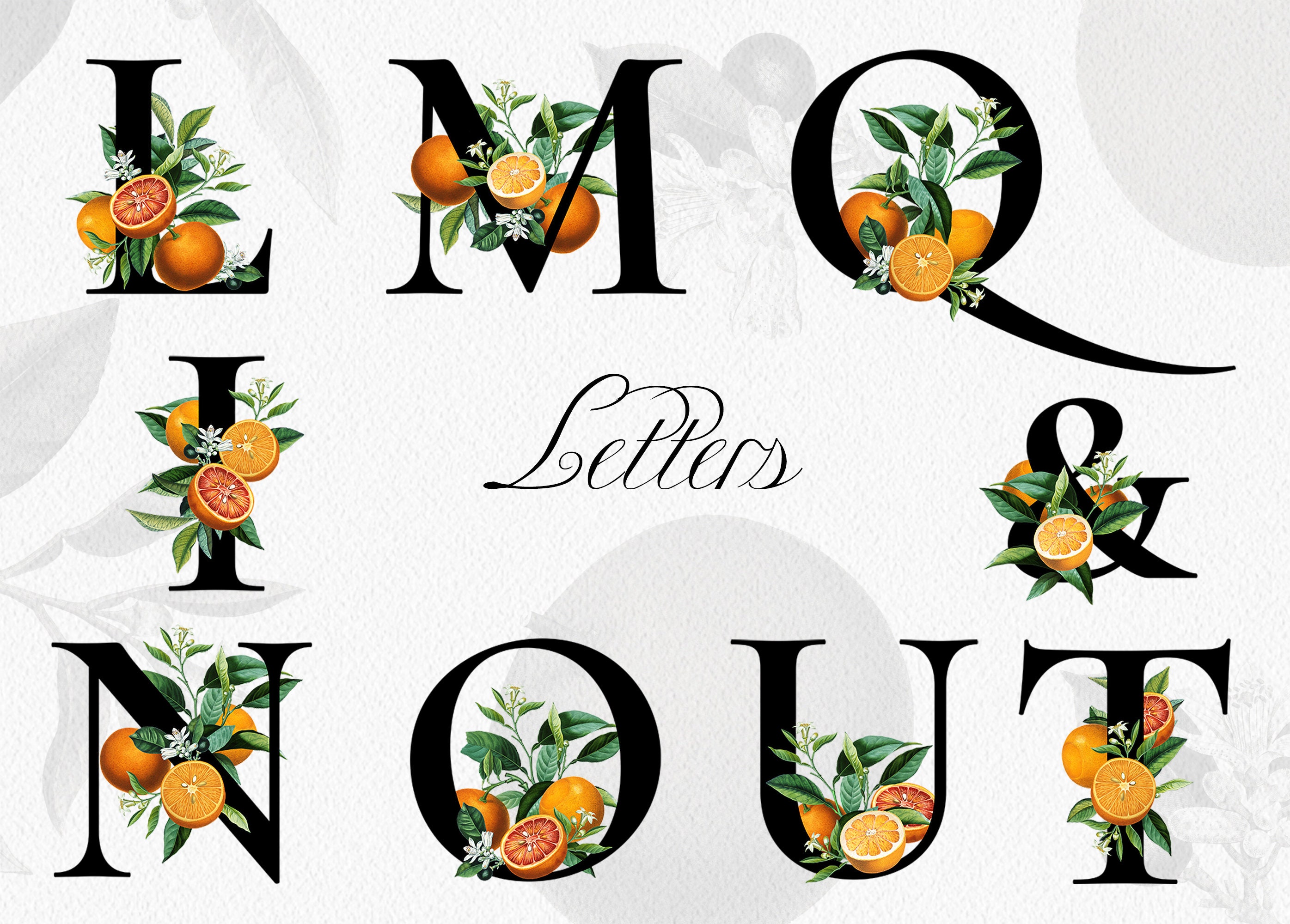 Orange Citrus Monogram Font Floral Monogram Alphabet Clipart | Etsy