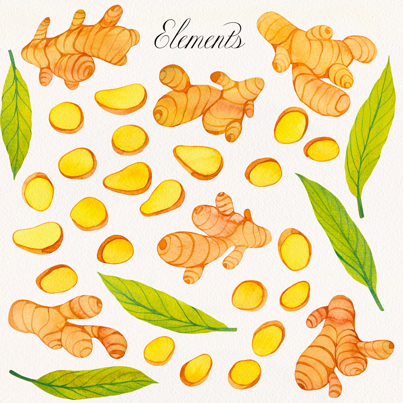 Watercolor Clipart Bundle Hand Painted Fruits Berries and - Etsy