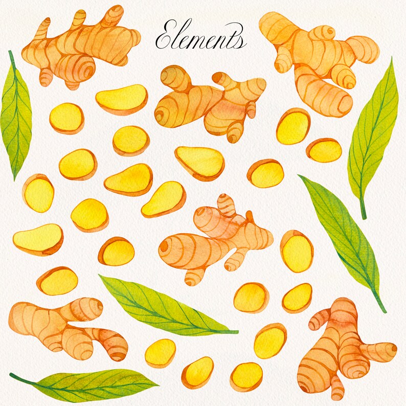 Watercolor Clipart Bundle Hand Painted Fruits Berries and - Etsy