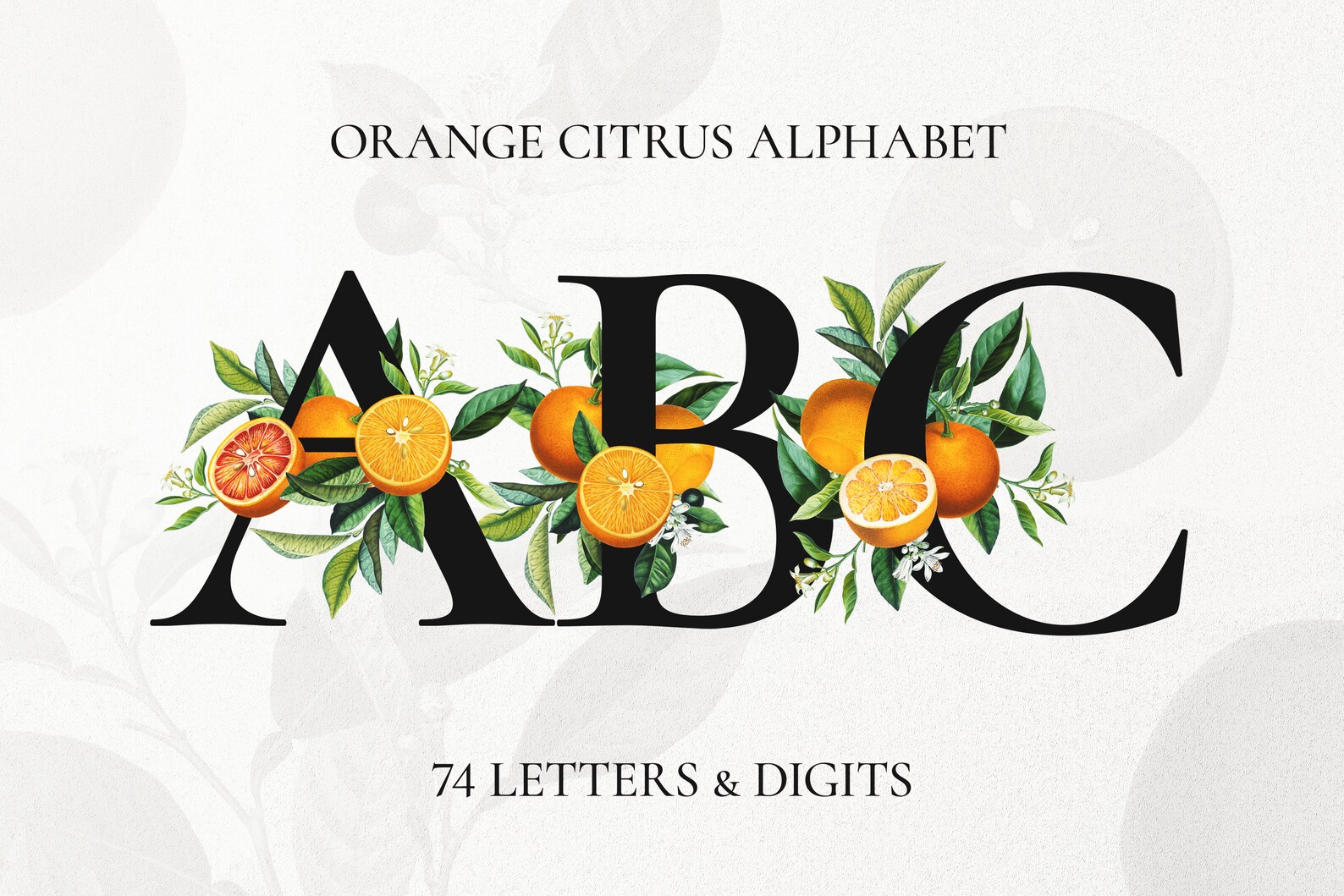 Orange Citrus Monogram Font Floral Monogram Alphabet Clipart | Etsy