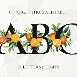 Orange Citrus Monogram Font, Floral Monogram Alphabet Clipart, Orange ...