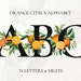 Orange Citrus Monogram Font, Floral Monogram Alphabet Clipart, Orange ...