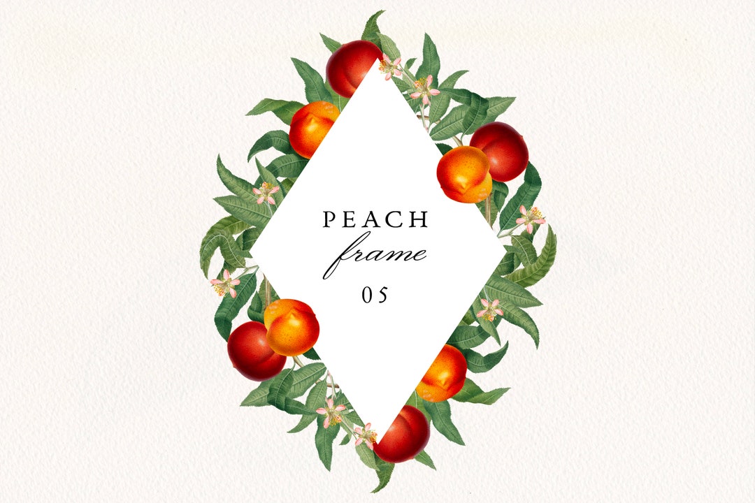 Peach Frame 05 PNG, Vintage Peach Fruit and Leaves Diamond Frame ...