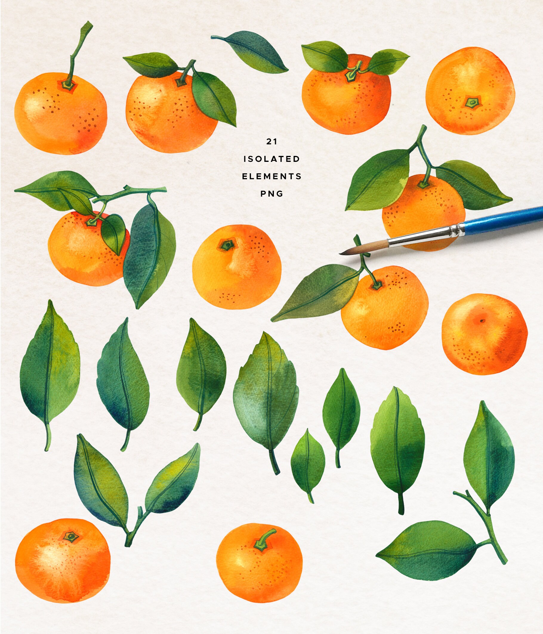 Watercolor Clipart Bundle Hand Painted Fruits Berries and - Etsy