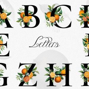 Orange Citrus Monogram Font, Floral Monogram Alphabet Clipart, Orange ...