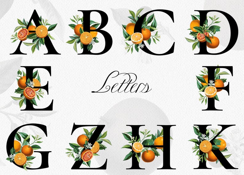 Orange Citrus Monogram Font Floral Monogram Alphabet Clipart | Etsy