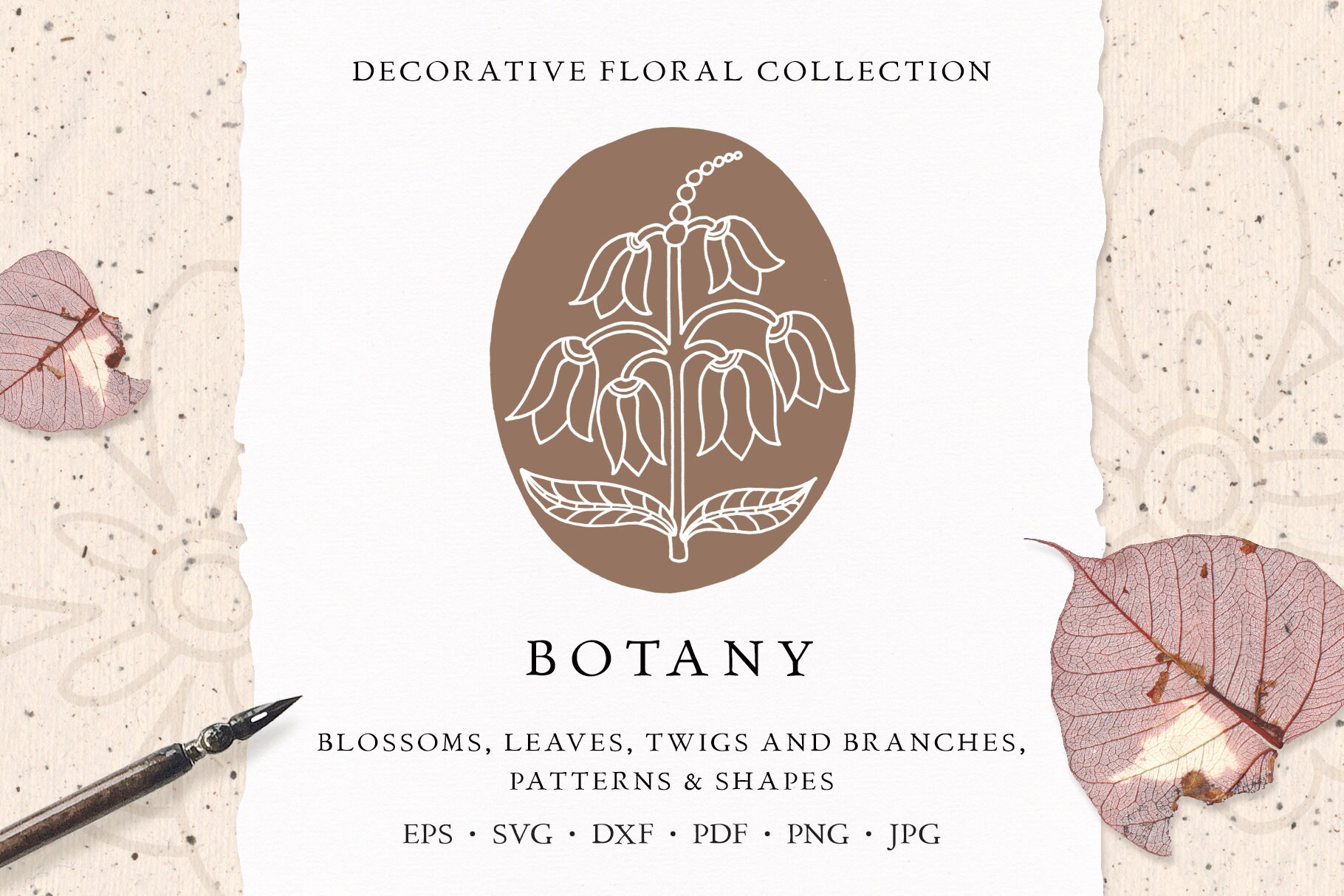 Botany Line Art Clipart Abstract Hand Drawn Flowers and - Etsy