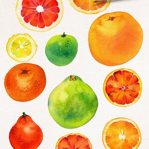 Watercolor Clipart Bundle, Hand Painted Fruits, Berries and Vegetables ...