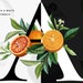 Orange Citrus Monogram Font, Floral Monogram Alphabet Clipart, Orange ...