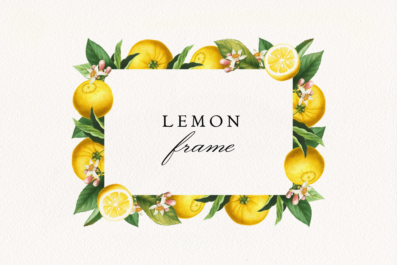 Lemon Citrus Frame 3 PNG Vintage Lemon Fruit Blossom - Etsy