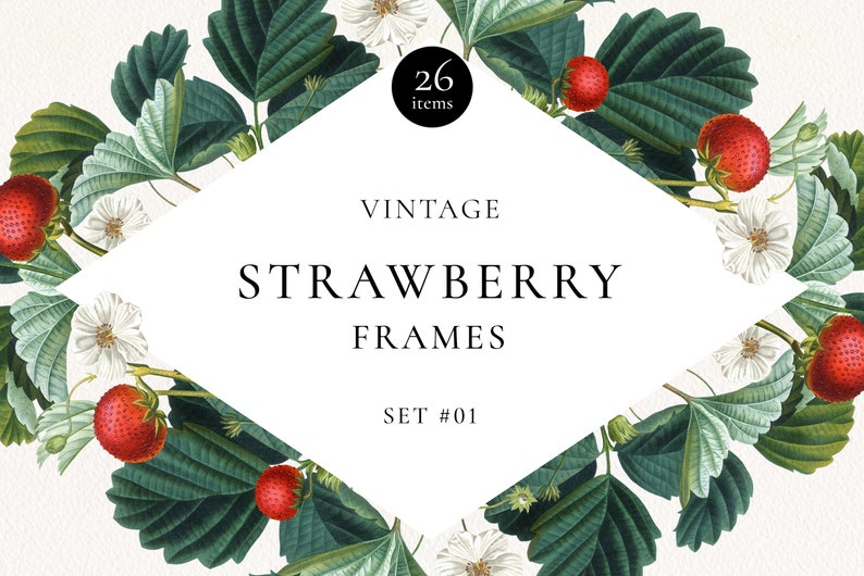 Strawberry Frames PNG Vintage Strawberry Fruit Blossom - Etsy