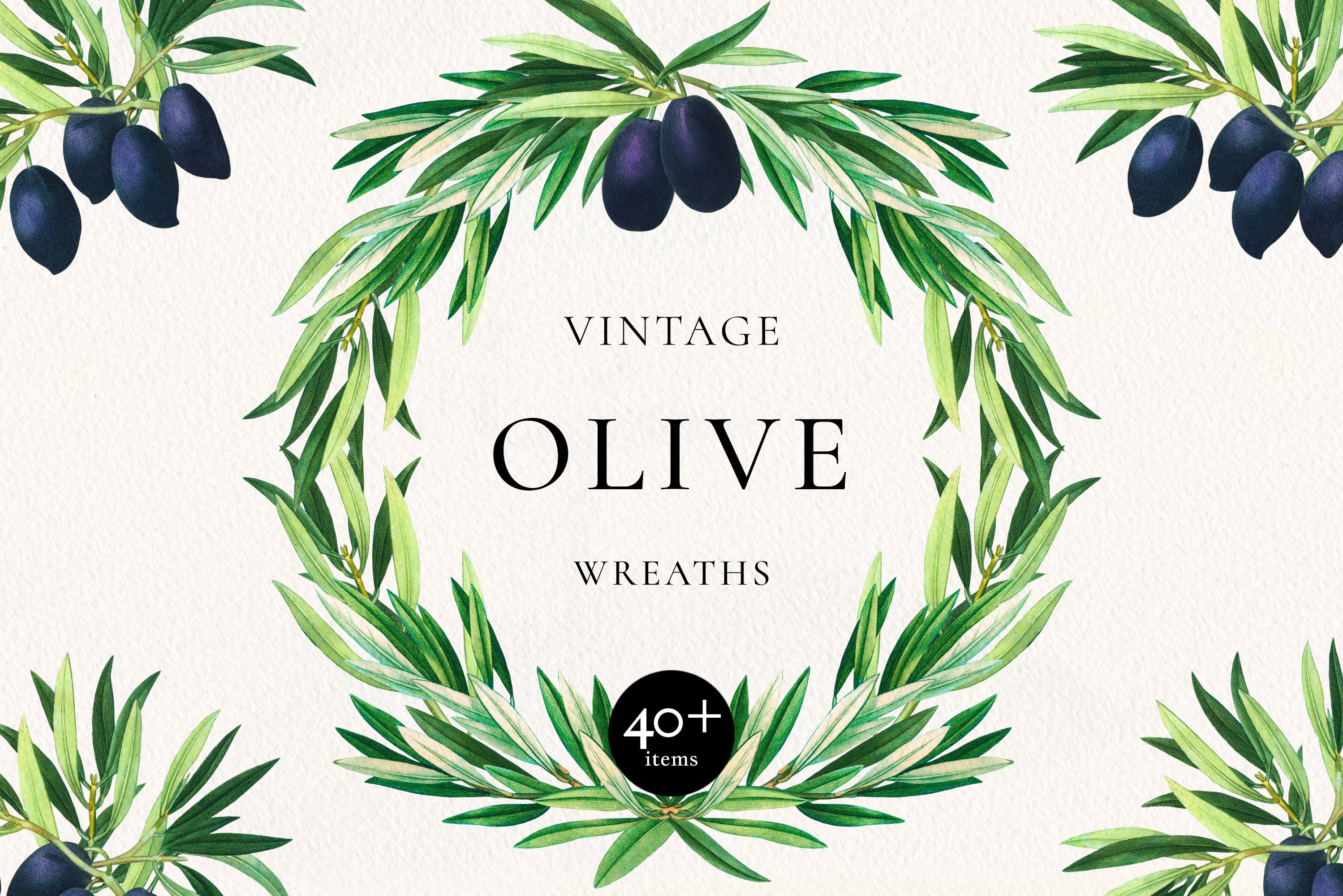 Olive Branch Wreaths Clip Art Olive Tree Branches and Twigs - Etsy