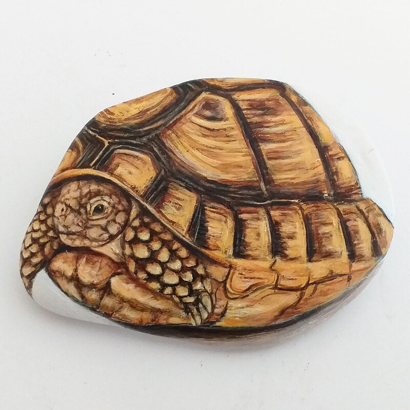 Painted Turtle Rock - Etsy