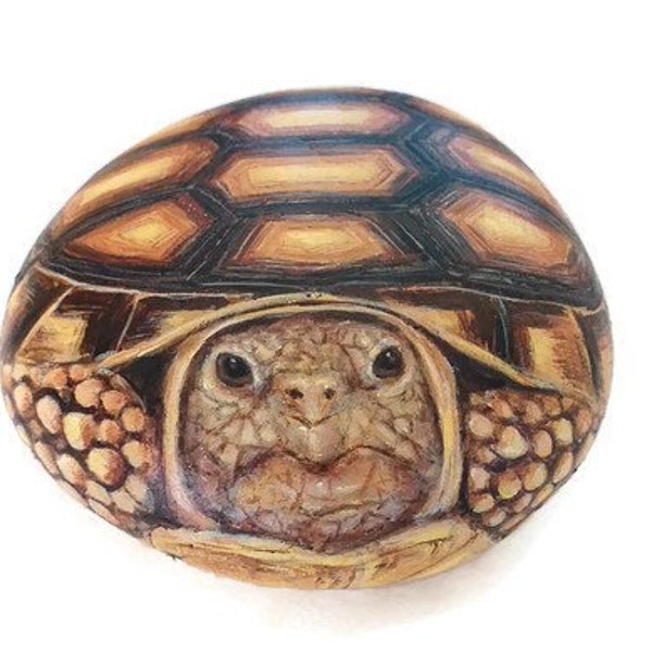 Painted Turtle Rock - Etsy