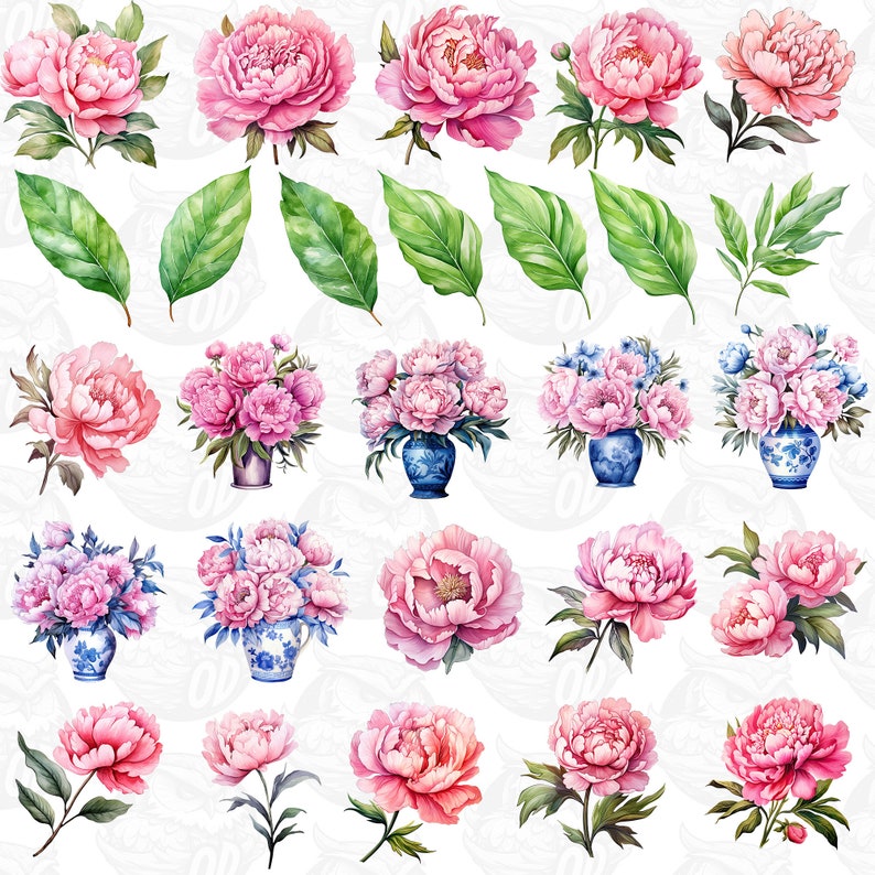 Watercolor Pink Peonies Clip Art, Peony Flower Embellishments, Pink ...