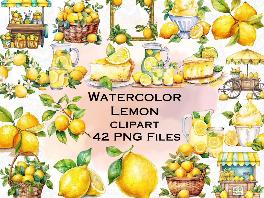 Watercolor Lemon Clipart,digital Png Lemonade,fruit Cart Graphics ...