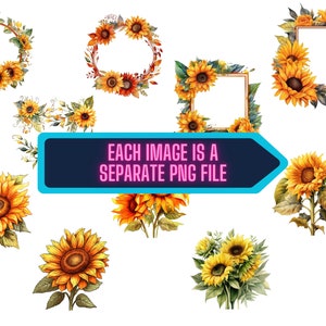 Watercolor Sunflowers PNG Format Clipart, Autumn and Fall Sunflower ...
