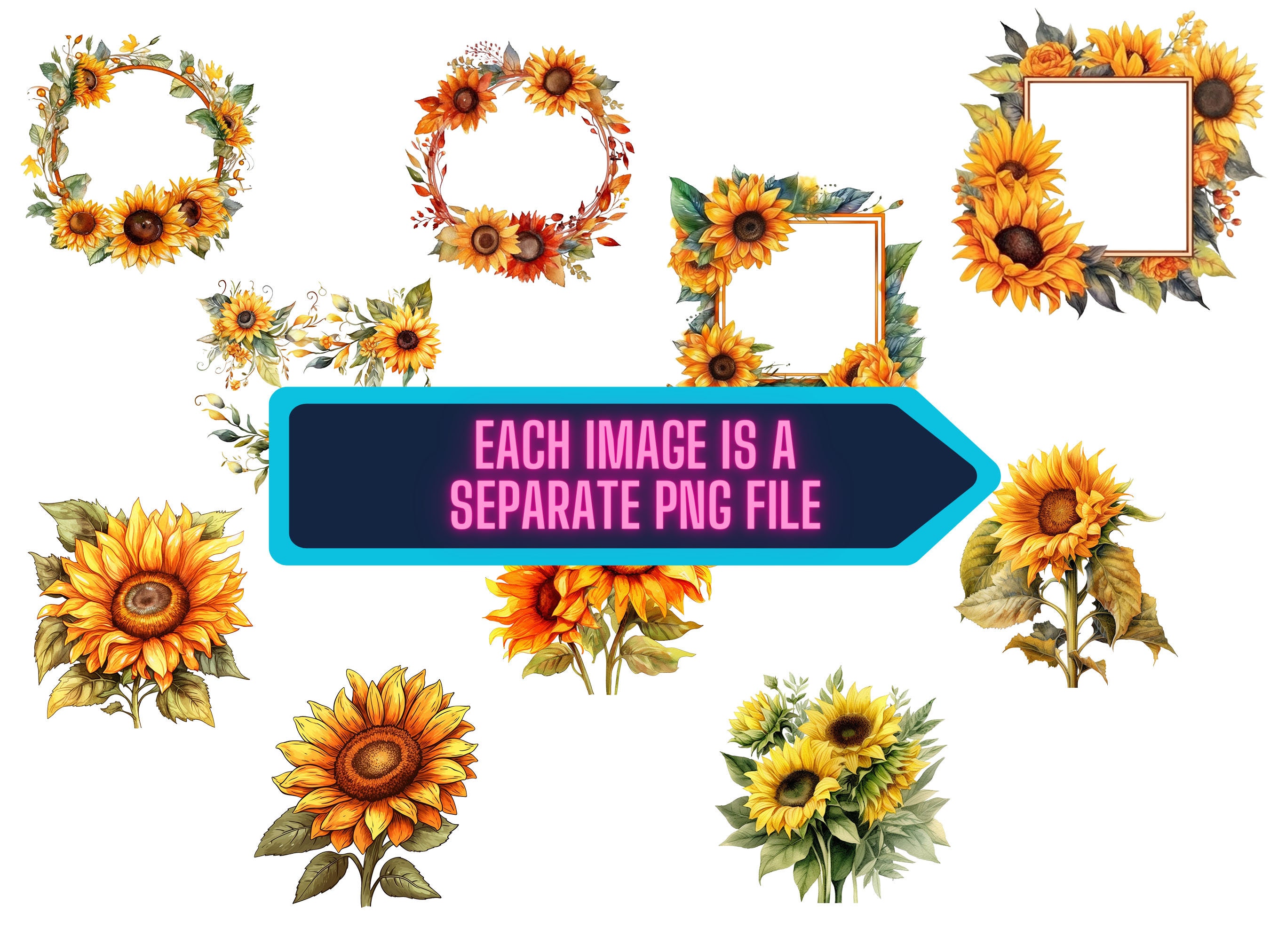 Watercolor Sunflowers PNG Format Clipart, Autumn and Fall Sunflower ...