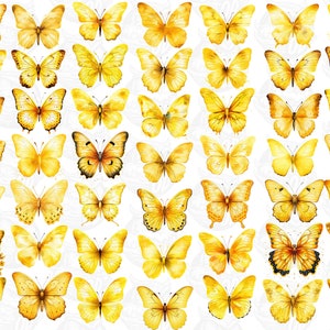 Watercolor Gold & Yellow Color Butterfly Clipart, 160 Separate PNG ...