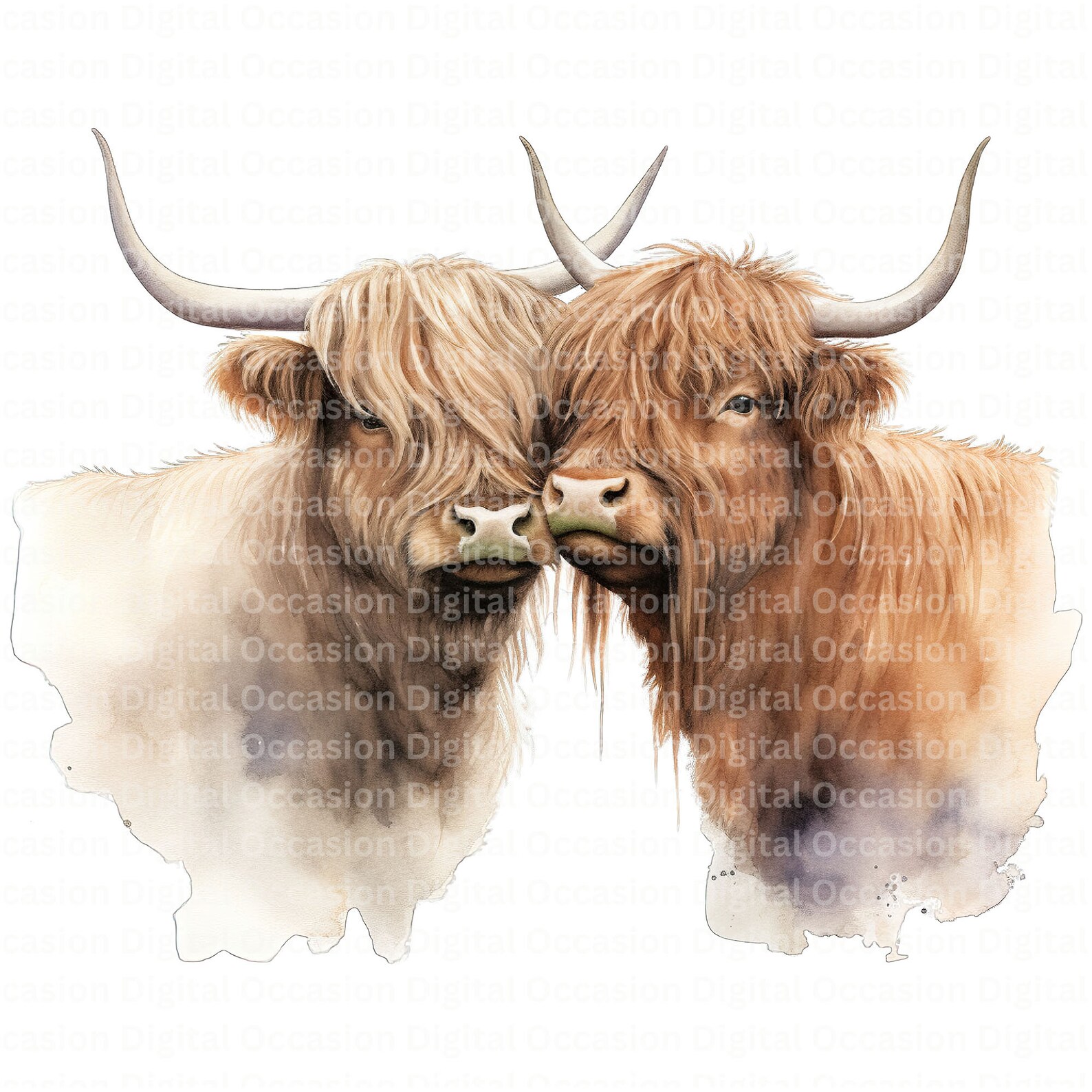 Watercolor Highland Cow Clipart Cute Baby Shower Graphics Nursery Decor ...
