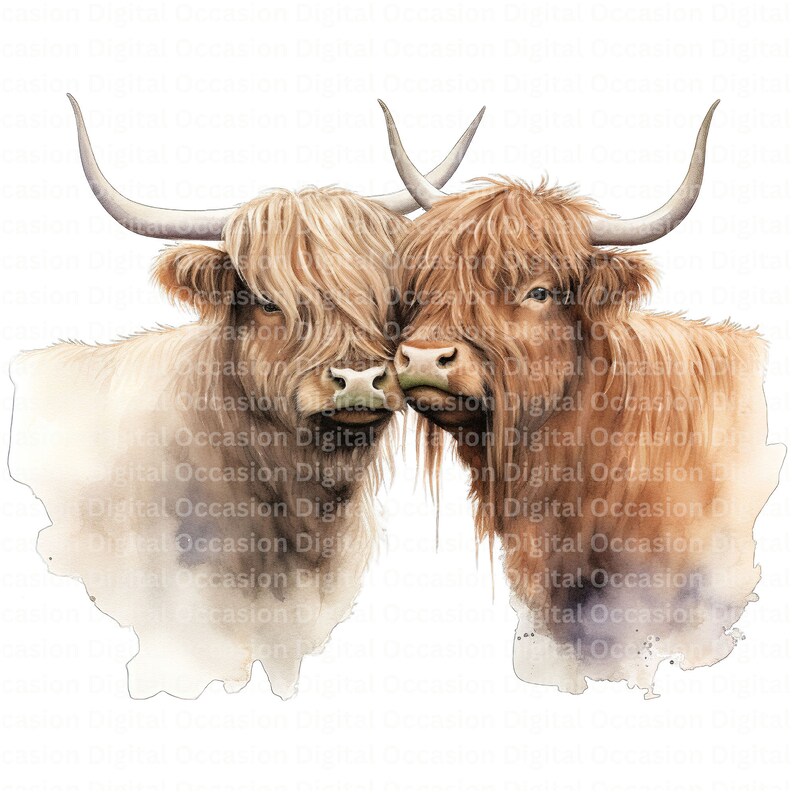 Watercolor Highland Cow Clipart Cute Baby Shower Graphics Nursery Decor ...