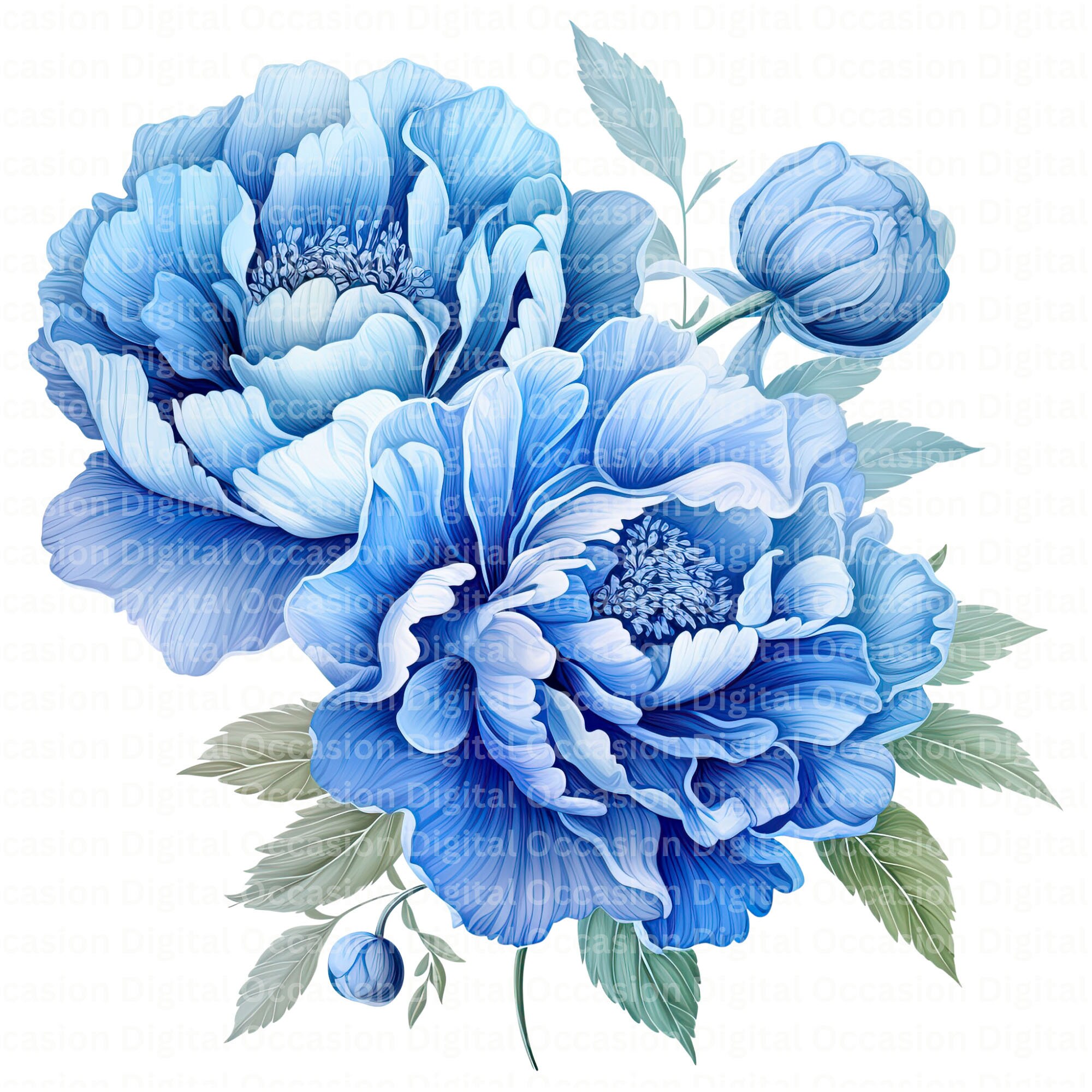 Watercolor Blue Peonies Clip Art, Peony Flower Embellishments, Blue ...
