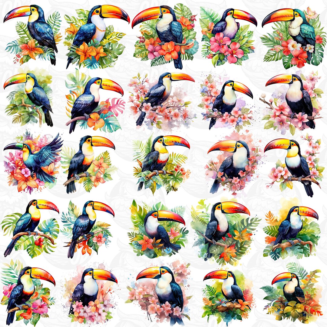 Watercolor Toucan Bird Clipart Tropical Birds on Hibiscus and Leaves ...