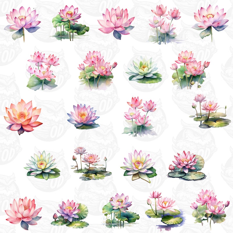 Lily Pad - Etsy