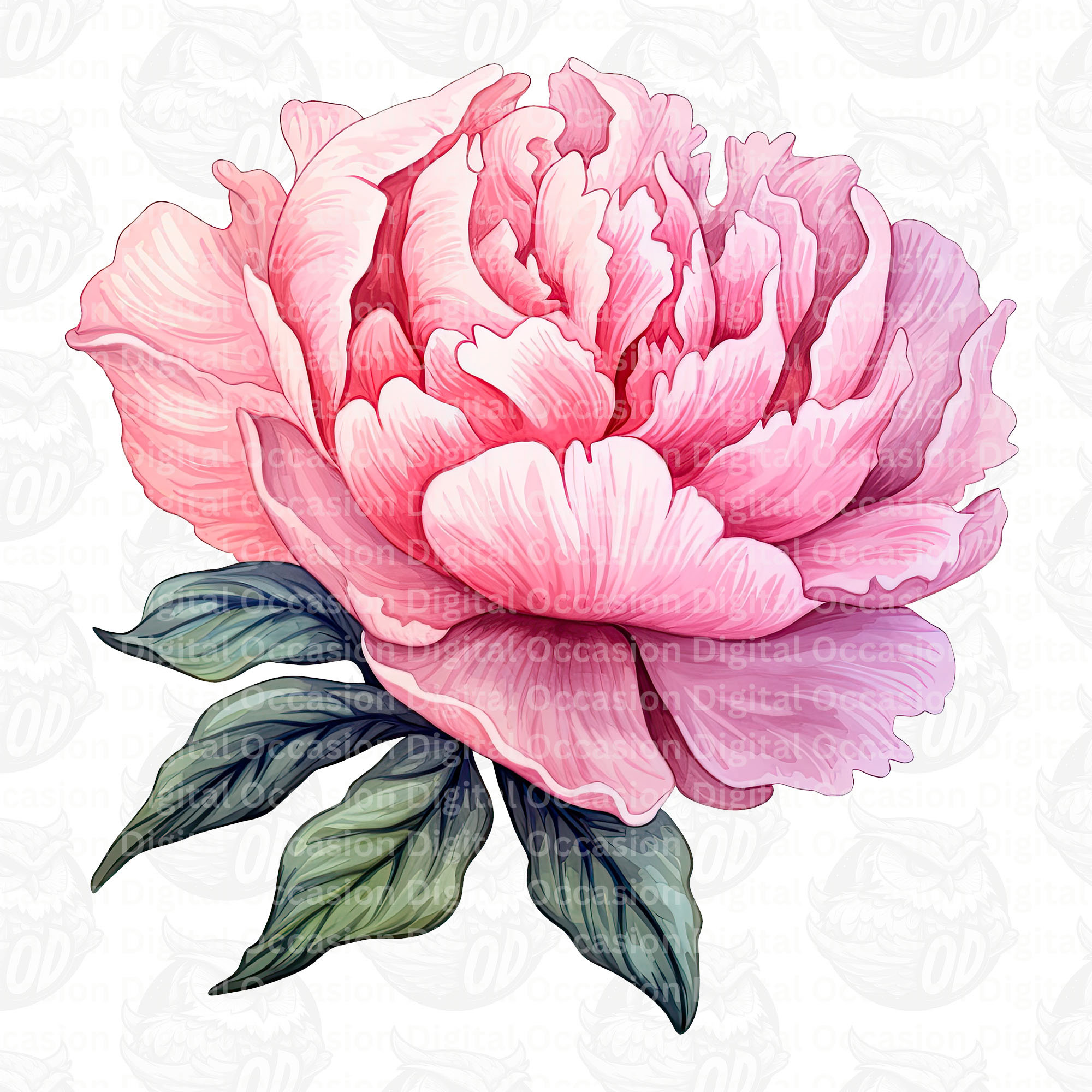Watercolor Pink Peonies Clip Art, Peony Flower Embellishments, Pink ...