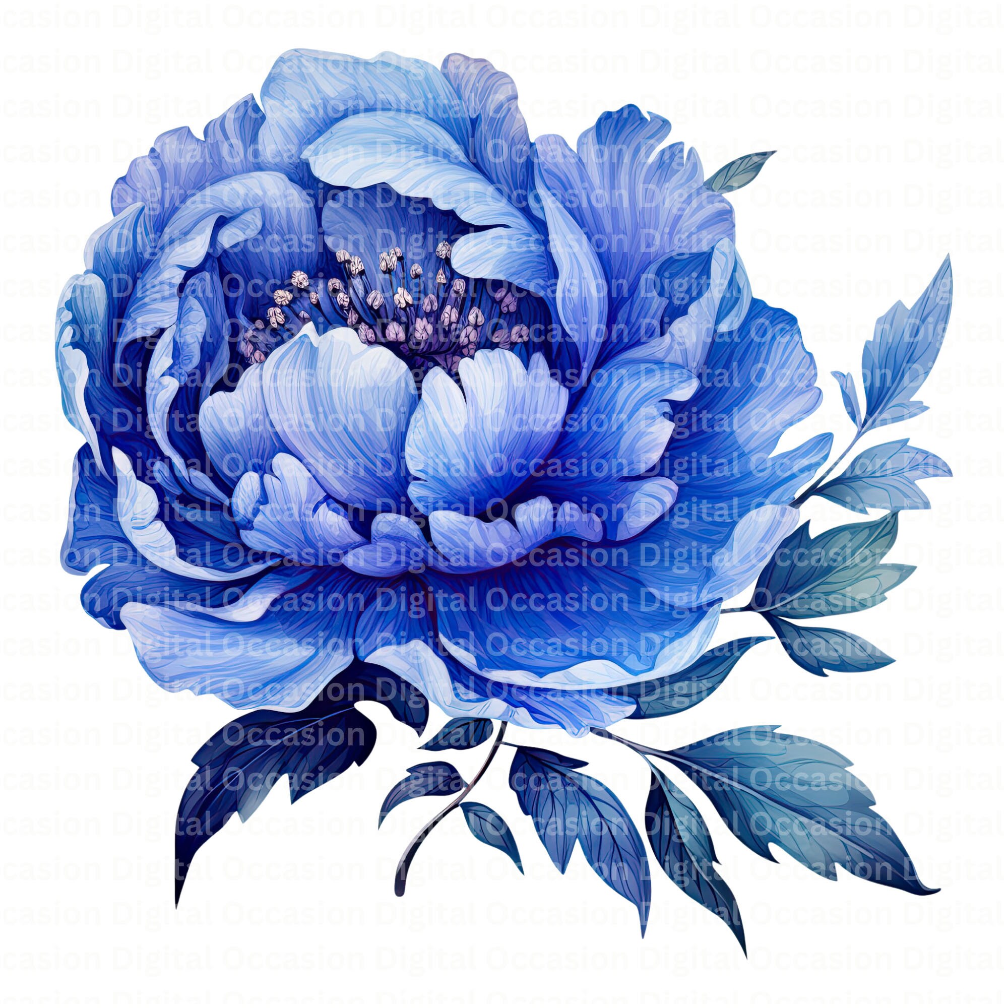 Watercolor Blue Peonies Clip Art Peony Flower Embellishments - Etsy