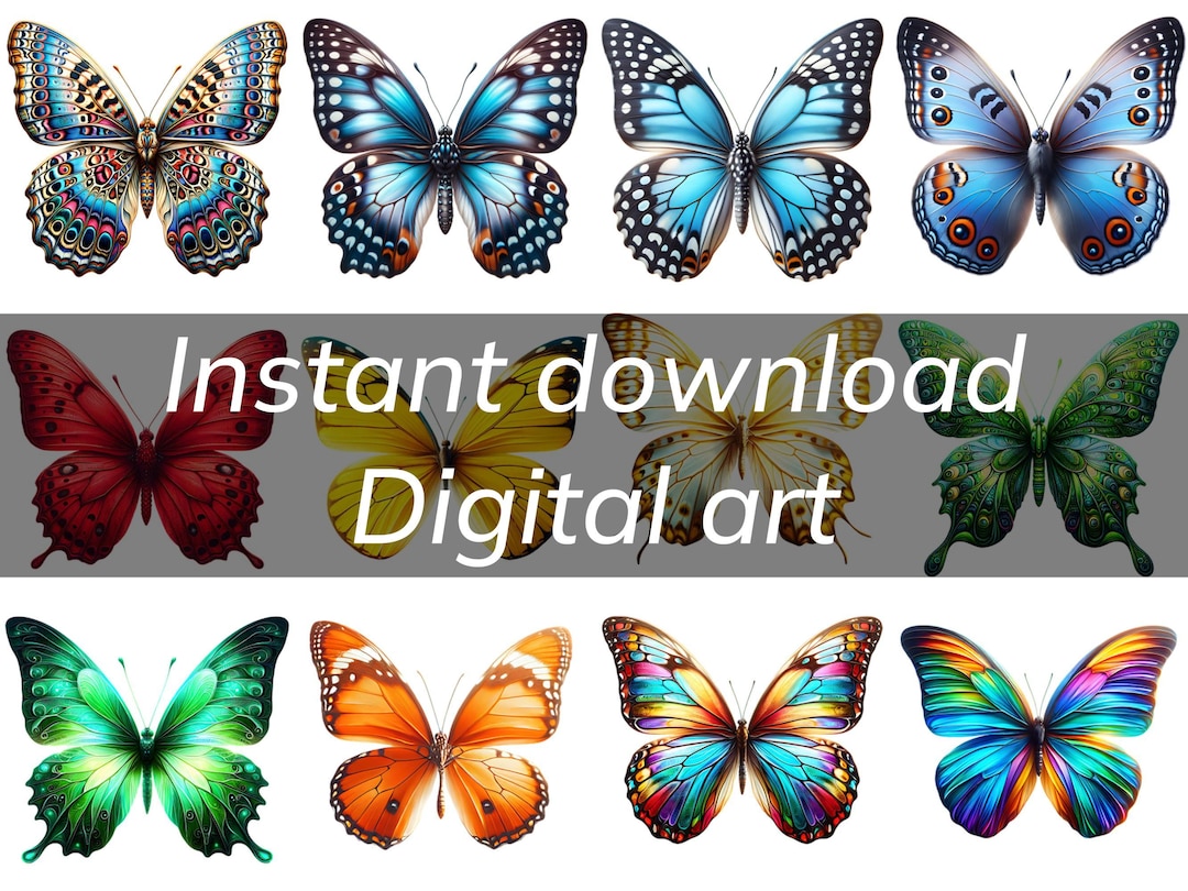 Butterflies Clipart Rainbow Color Butterflies Bundle Png Butterfly ...