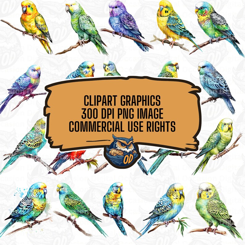Watercolor Parakeet Clipart Tropical Budgie Birds With Flowers ...