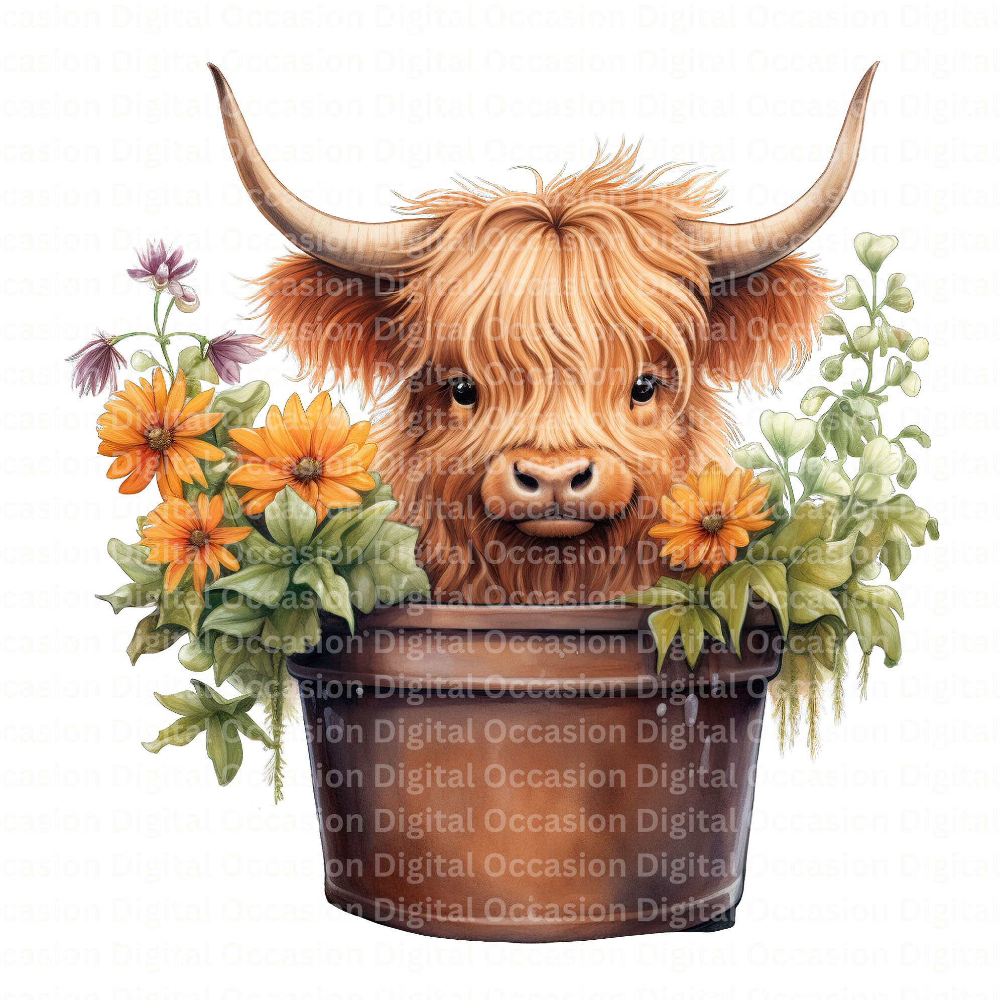 Watercolor Highland Cow Clipart Cute Baby Shower Graphics Nursery Decor ...