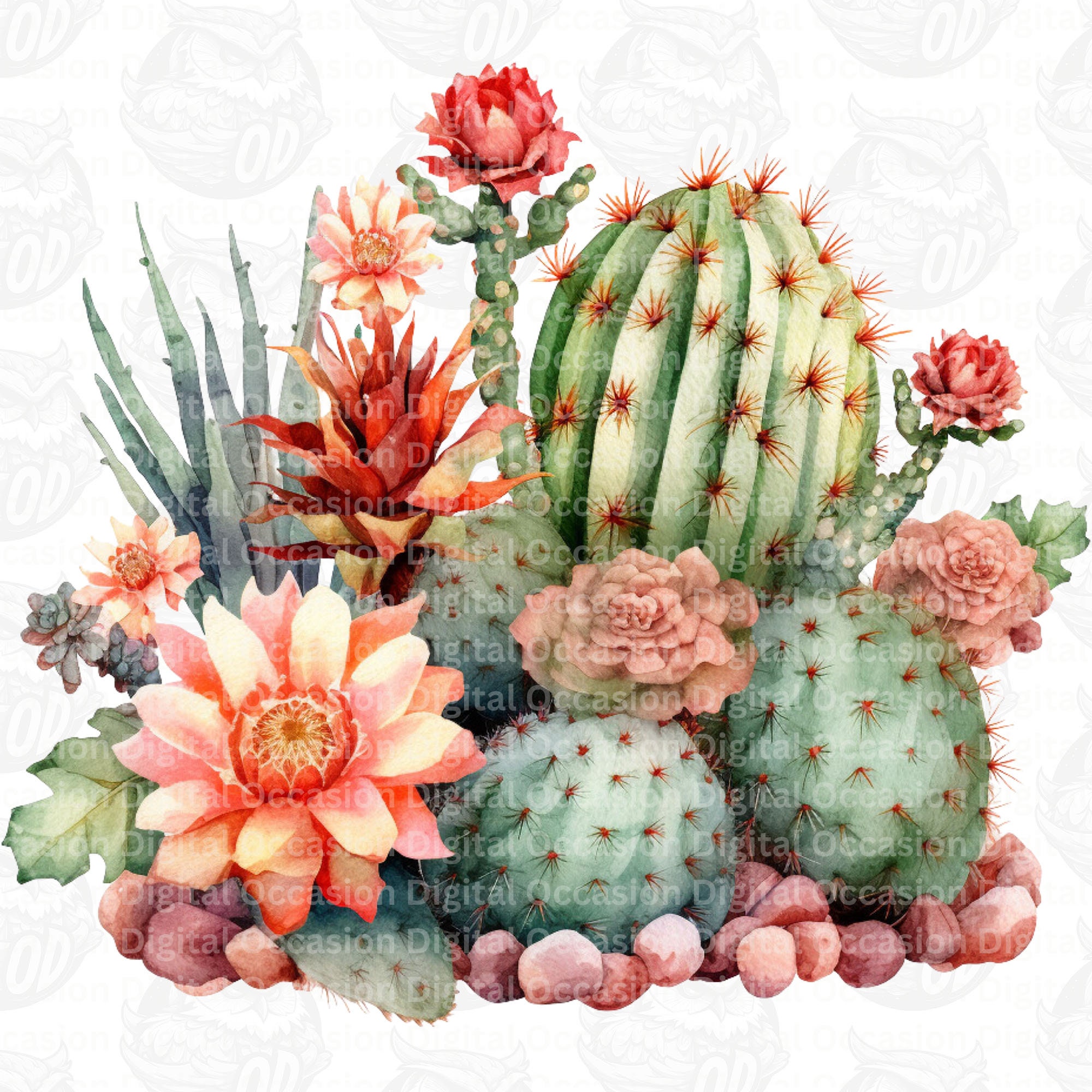 Western Cactus Bundle Png, Floral Cactus,flowers Png,sublimate Designs ...