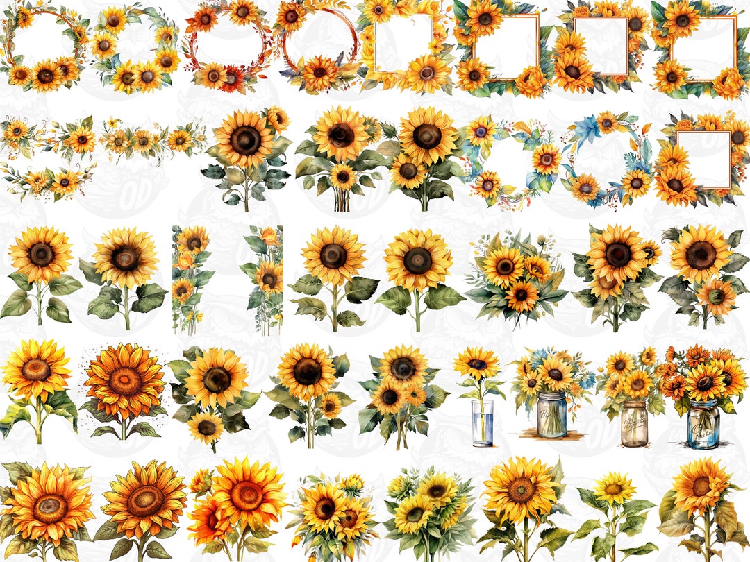 Watercolor Sunflowers PNG Format Clipart, Autumn and Fall Sunflower ...