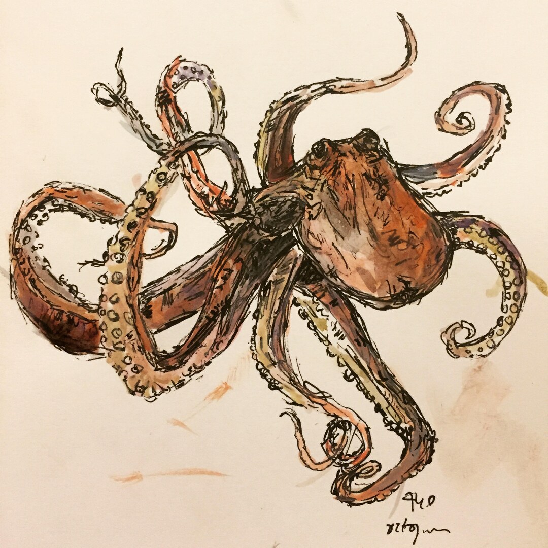 Orange Octopus - Etsy