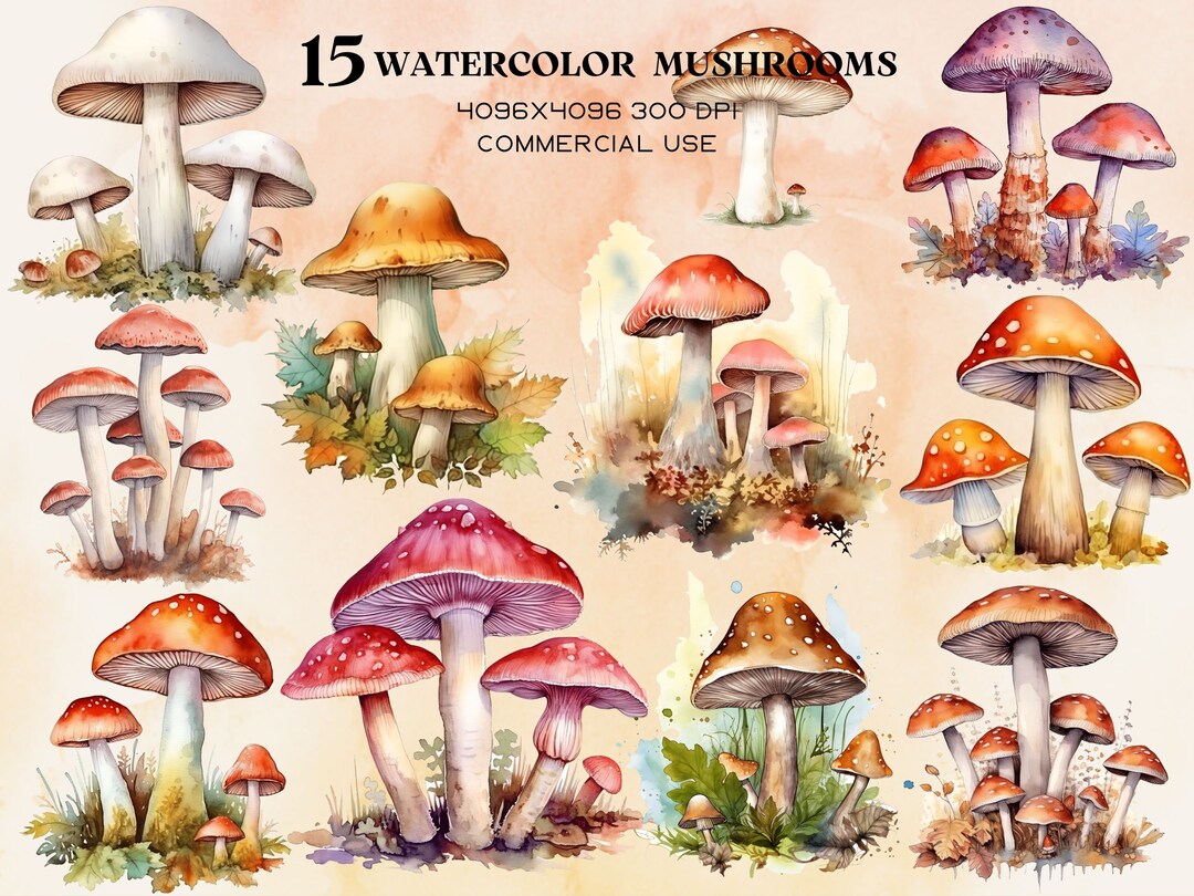 Watercolor Mushrooms Clipart - Cute Forest Nature Toadstool Clip Art ...