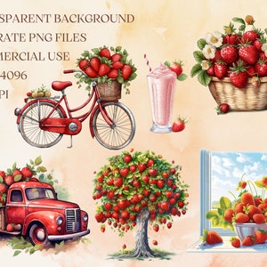 Watercolor Strawberry PNG Clip Art Bundle Illustrations, Garden Fruit ...