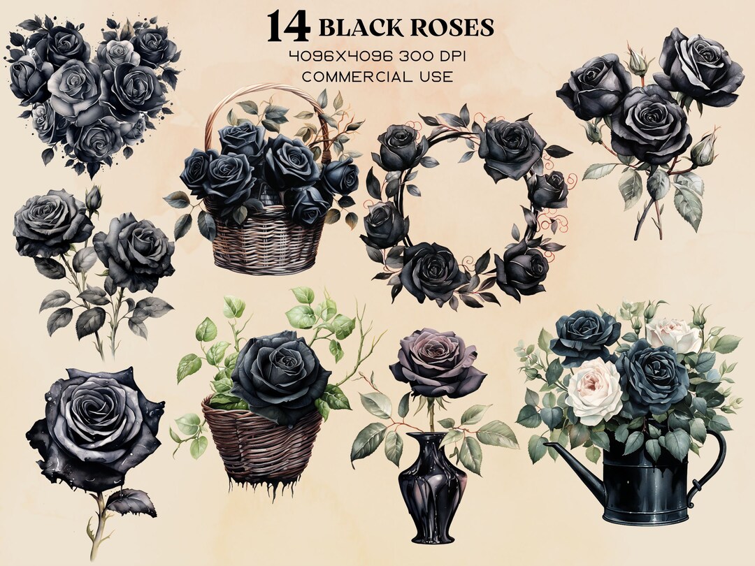 Watercolor Clipart Gothic Roses PNG Clip Art Rose Flowers Black Fantasy ...