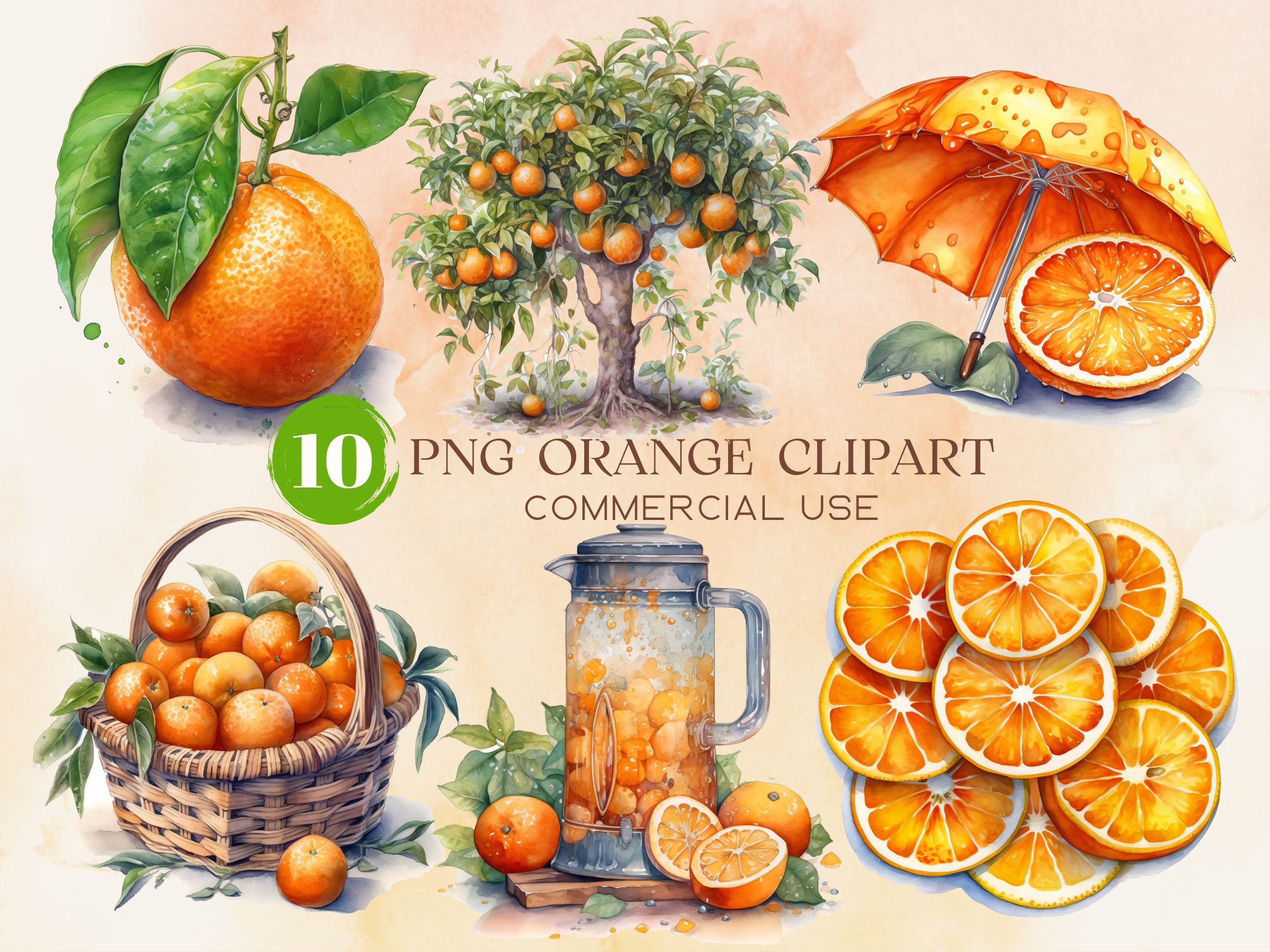 Watercolor Oranges Clipart Digital PNG Citrus Orange Tree - Etsy