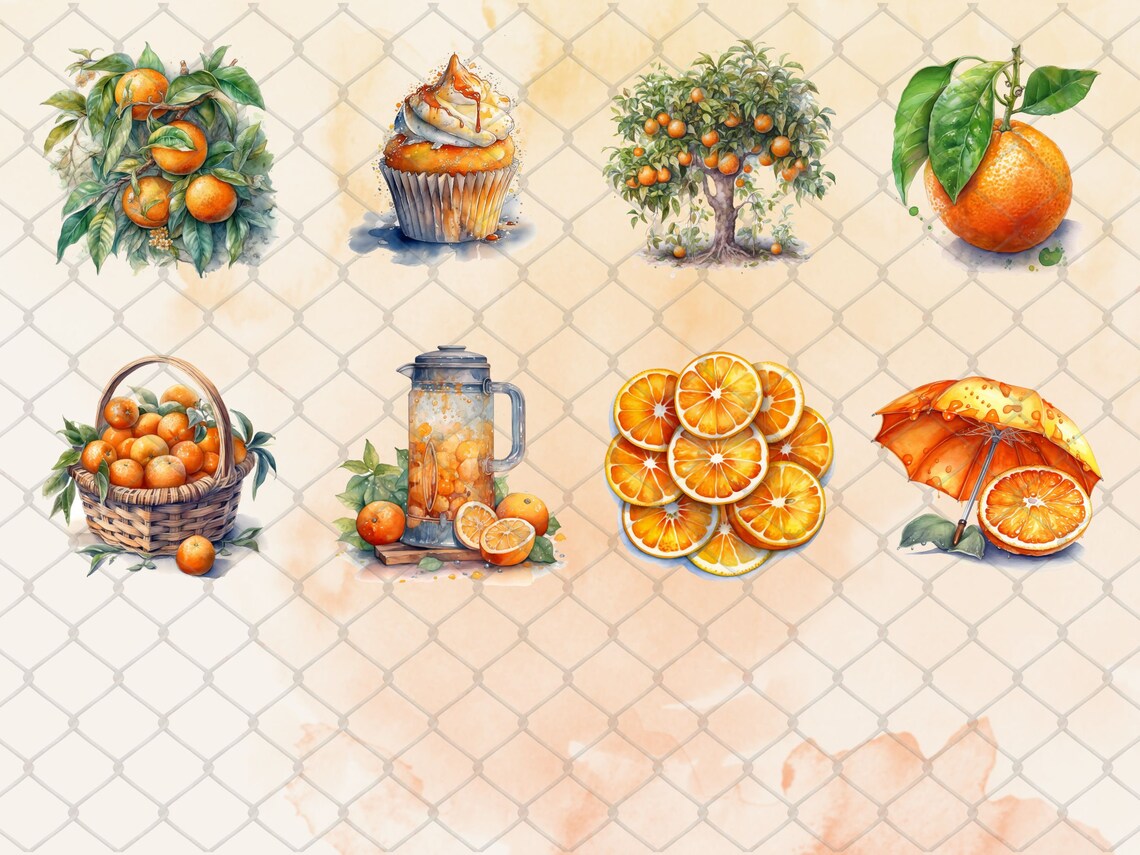 Watercolor Oranges Clipart Digital PNG Citrus Orange Tree - Etsy