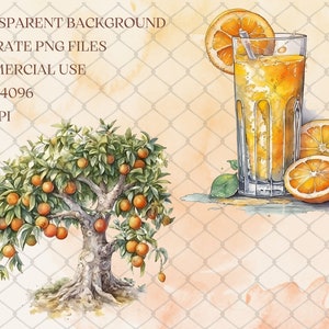 Watercolor Oranges Clipart - Digital PNG Citrus, Orange Tree Png, Juice ...