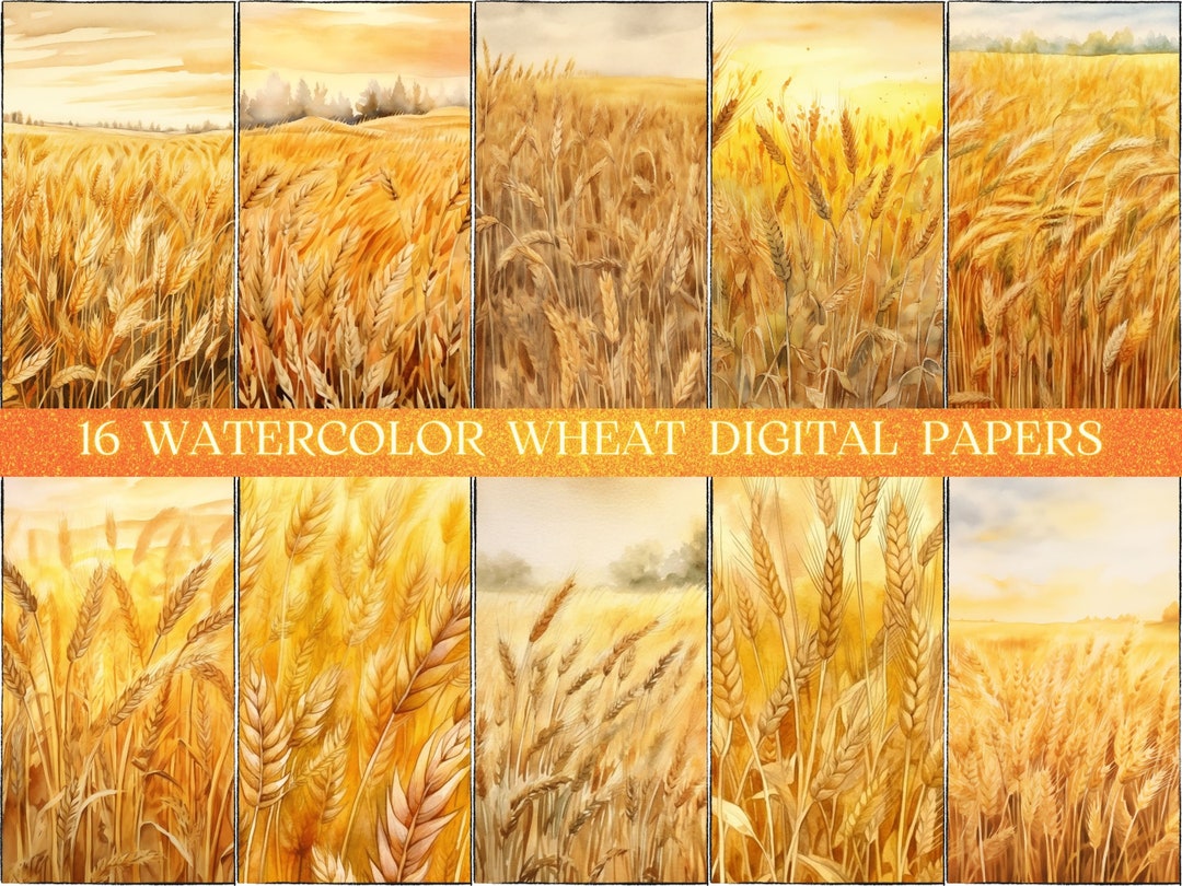 Watercolor Wheat Field Digital Paper, Amber Texture Background PNG ...