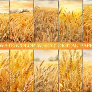 Watercolor Wheat Field Digital Paper, Amber Texture Background PNG ...
